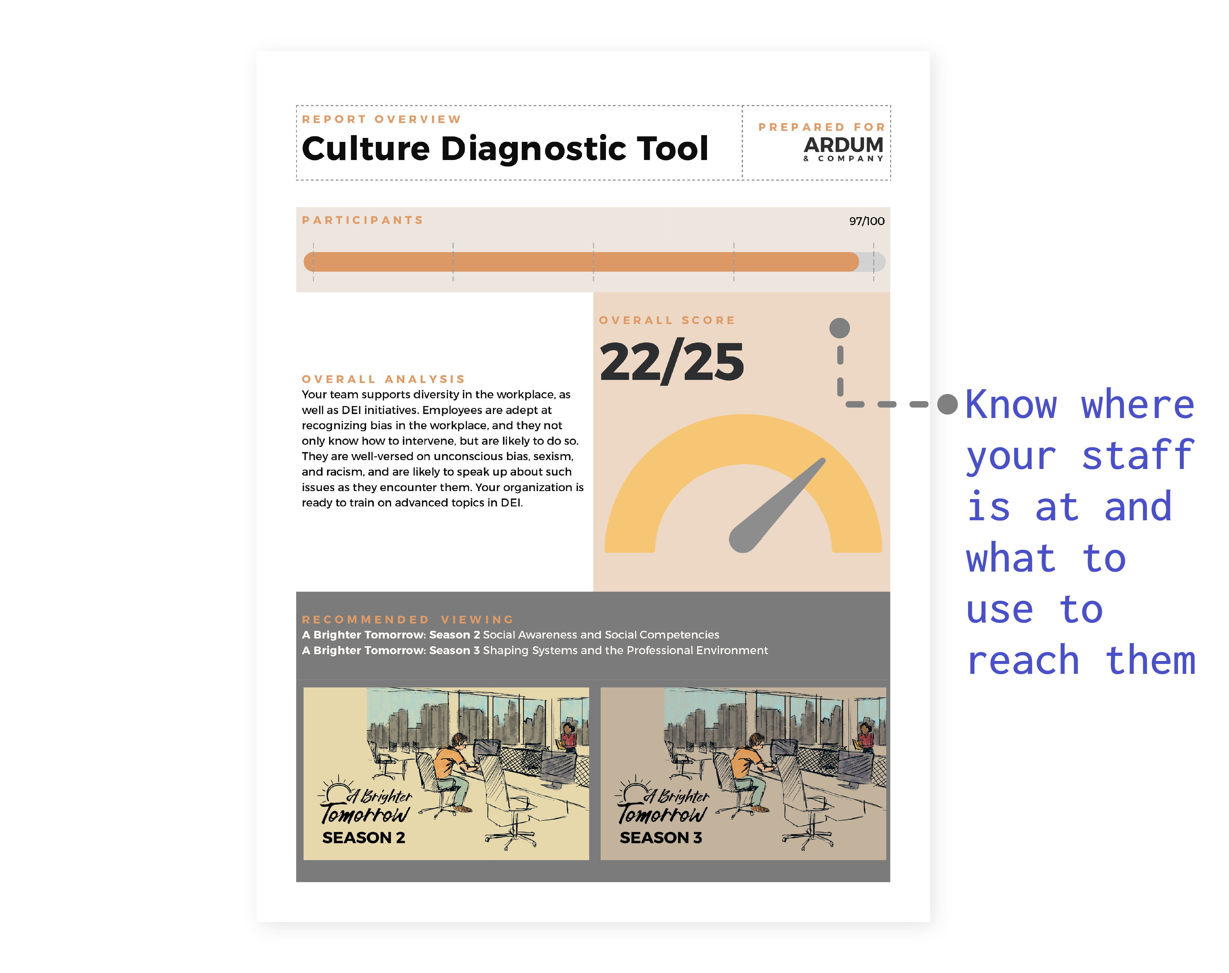 Culture Diagnostic Tool